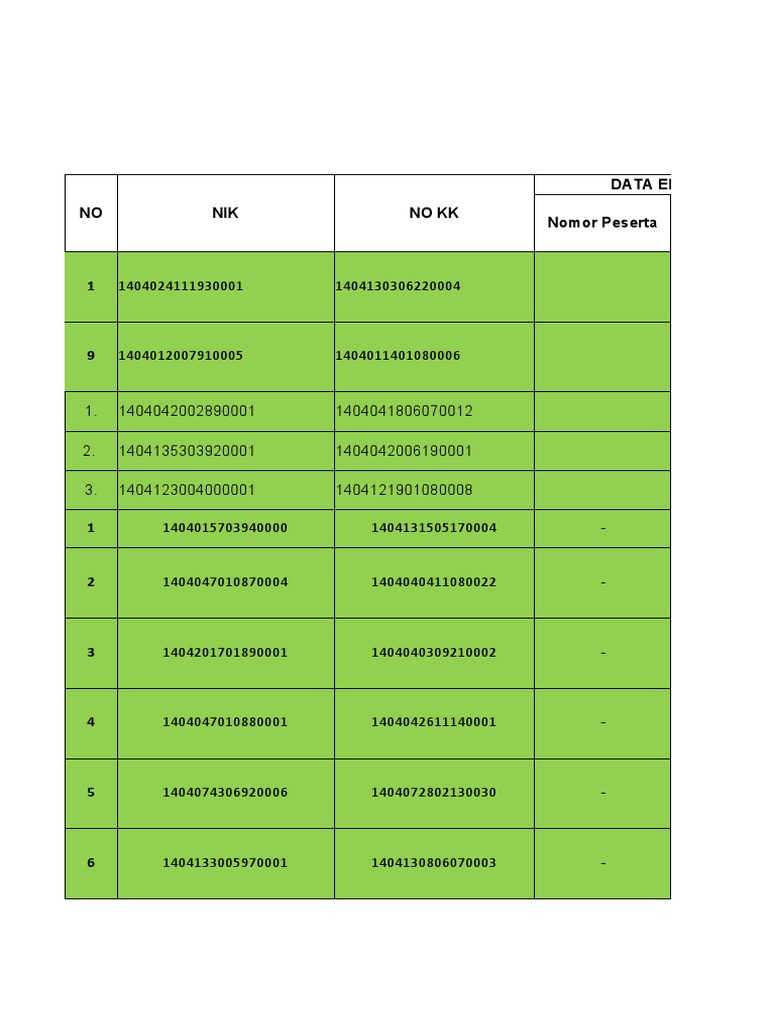 REKAP DATA NON ASN DINKES | PDF