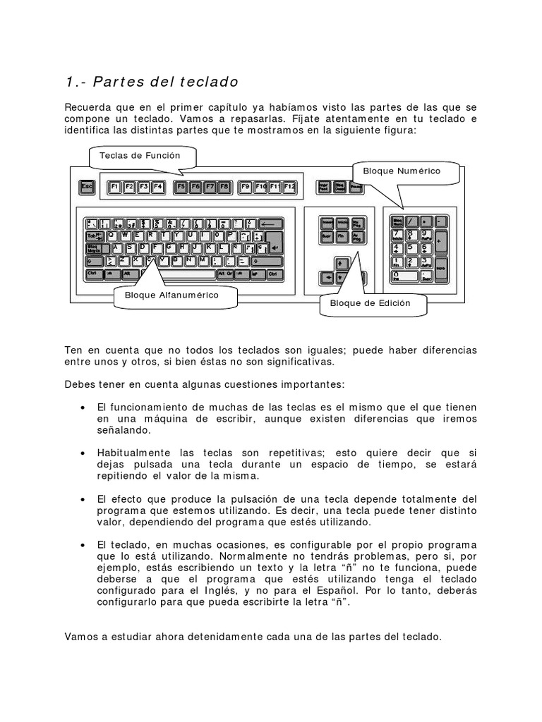Módulo 3 - El Teclado y Sus Posibilidades | PDF | Teclado | Impresora ... Módulo 3 - El Teclado y Sus Posibilidades | PDF | Teclado | Impresora ...