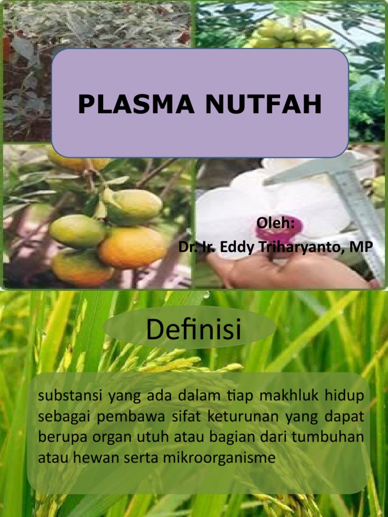 Plasma Nutfah | PDF