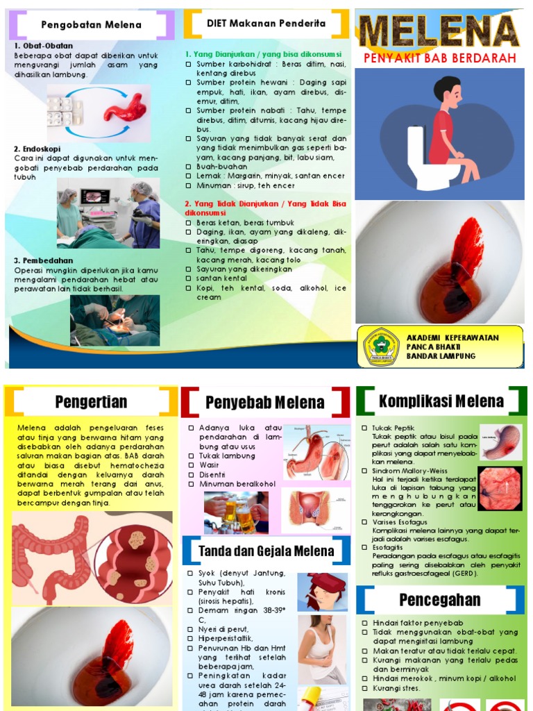 Leaflet Melena | PDF