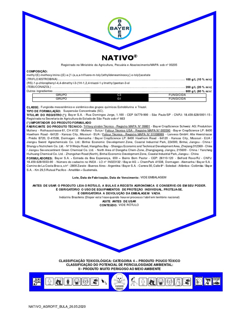 F1381262569_NATIVO_ BULA | PDF