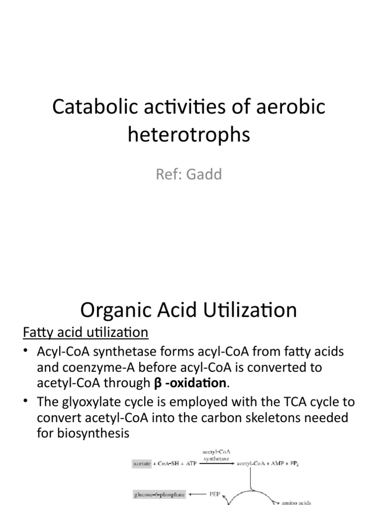 Catabolic Activities of Aerobic Heterotrophs | PDF | Metabolism | Alanine
