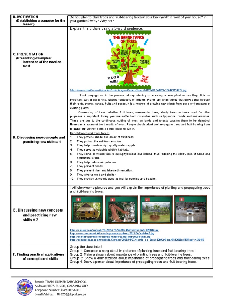 TLE DLP AGRICULTURE-Q1-WK1 - Part 2 - Day 1 | PDF | Trees | Plants
