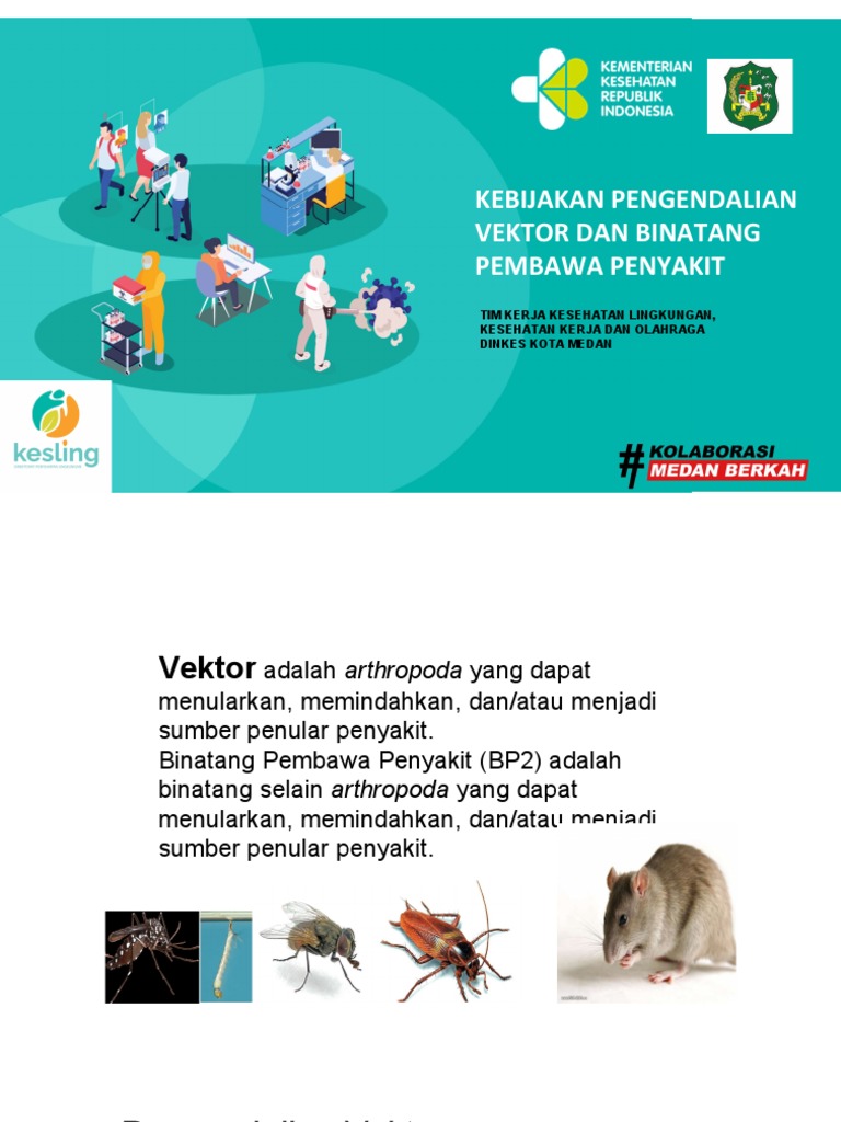 Kebijakan P.vektor Dan BPP 2023 | PDF