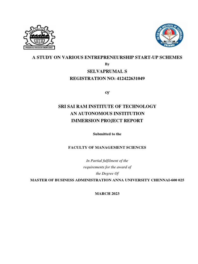Selva Perumal Immersion Project | PDF | Entrepreneurship | Startup Company