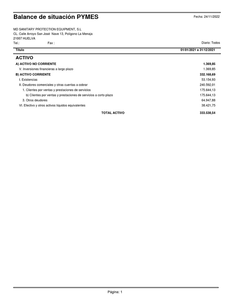 Balance PYMES 2021: MD Sanitary | PDF