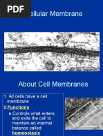 Cell Structure (Grade 6) - Free Printable Tests and Worksheets PDF ...
