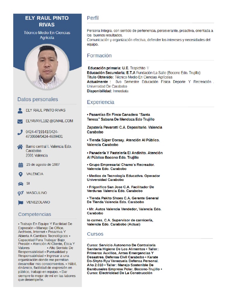 Curriculo Ely 2023 | PDF