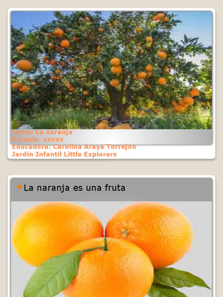 La Naranja | PDF