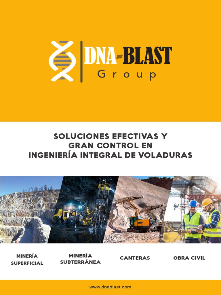 Brochure DNA-Blast Group (ES) | PDF | Minería | Computación en la nube
