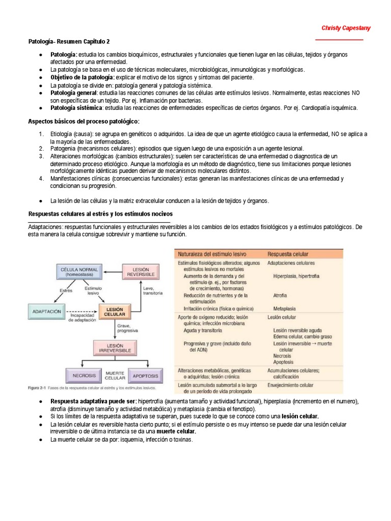 Robbins Capitulo 2 Patologia Resumen - Compress | PDF | Apoptosis | Atrofia
