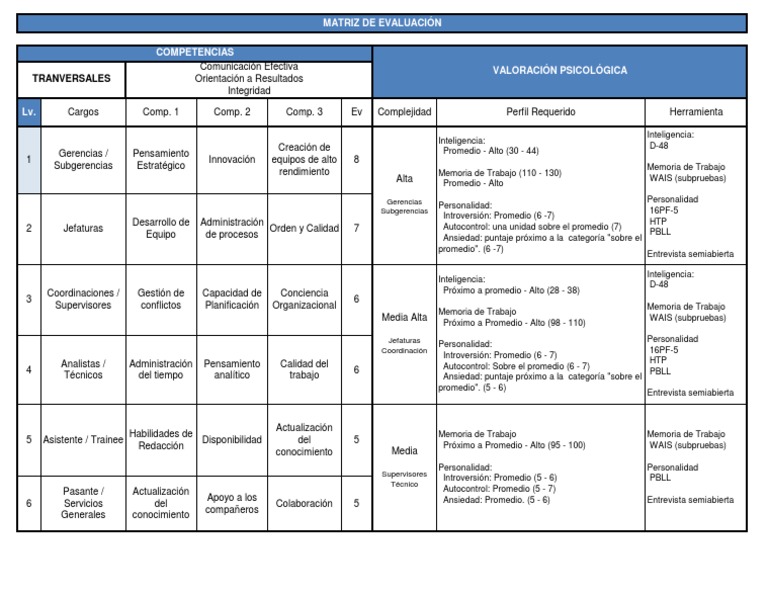 Matriz de Evaluación de Competencias Laborales | PDF