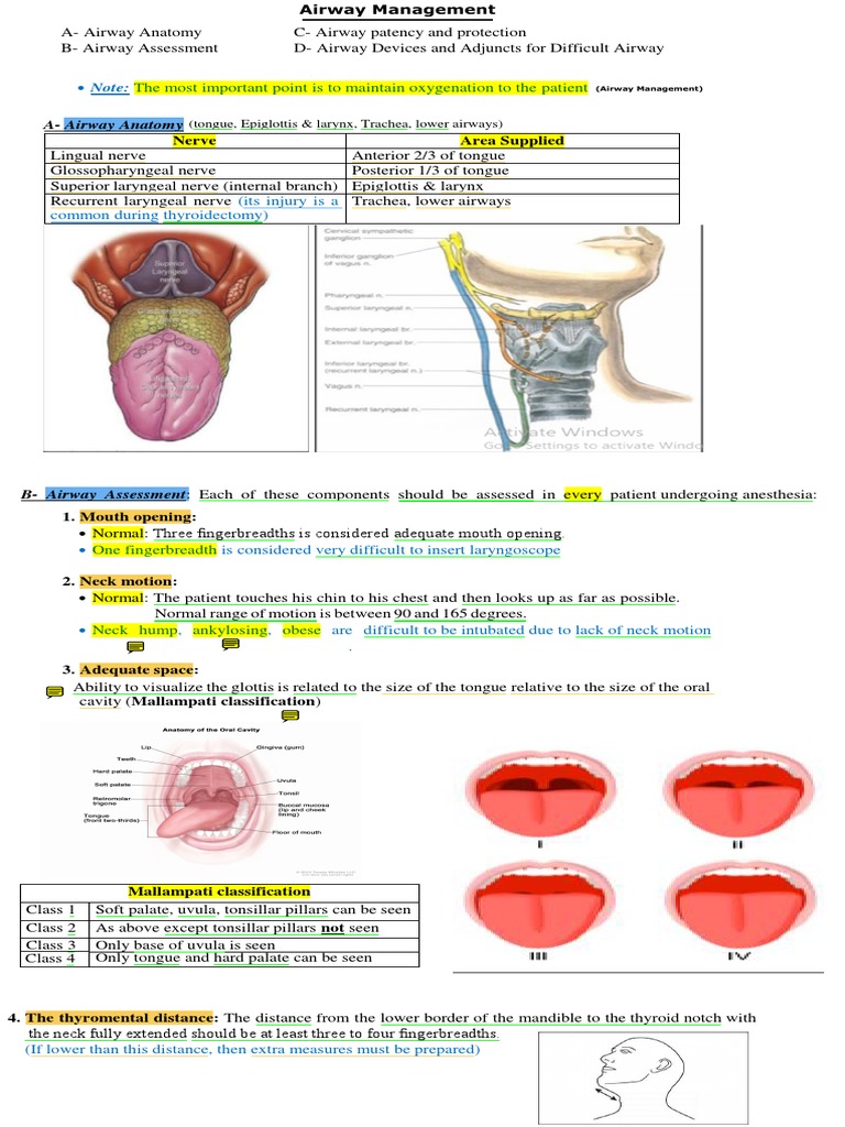 Airway Management | PDF | Medical Specialties | Anatomy