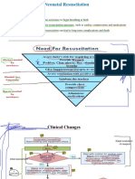 Quizlet NRP 8TH Edition | PDF | Cardiopulmonary Resuscitation | Heart Rate