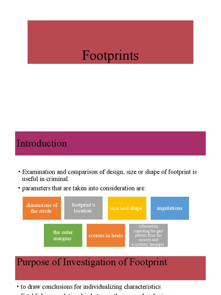 Footprints | PDF | Foot | Shoe