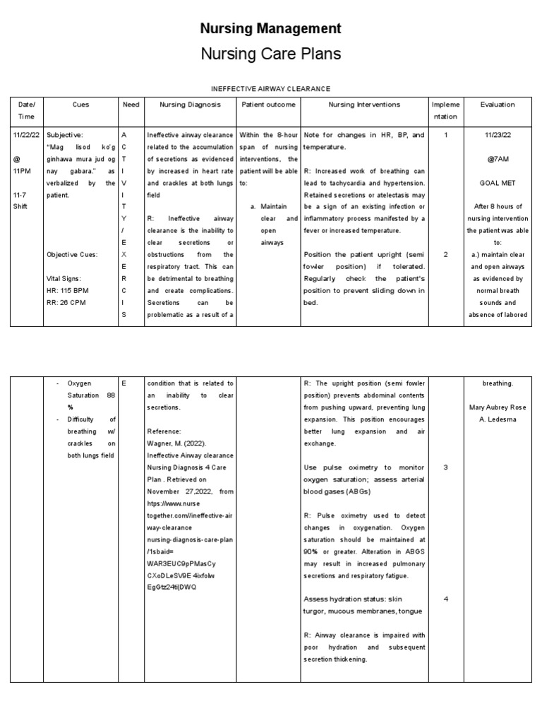 Nursing Care Plans | PDF
