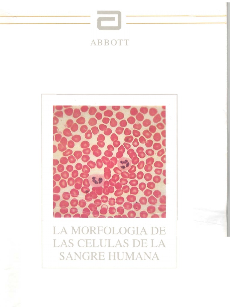 La Morfologia de Las Celulas de La Sangre Humana | PDF