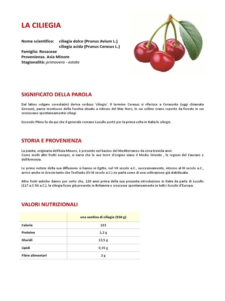 Ciliegia Scheda Tecnica | PDF