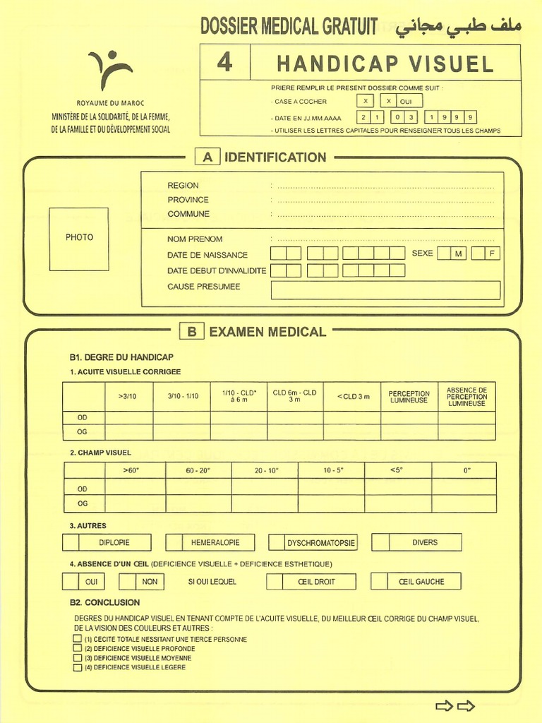 Handicap Visuel | PDF