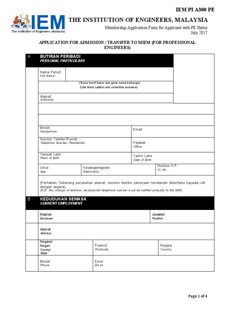 IEM PI Form A300 PE | PDF