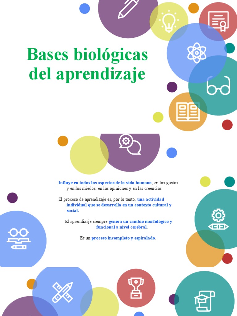 Bases Biológicas | PDF | Aprendizaje | Cerebro