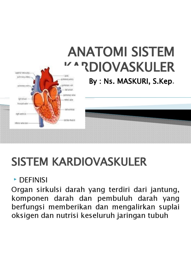 Anatomi Sistem Kardiovaskuler | PDF