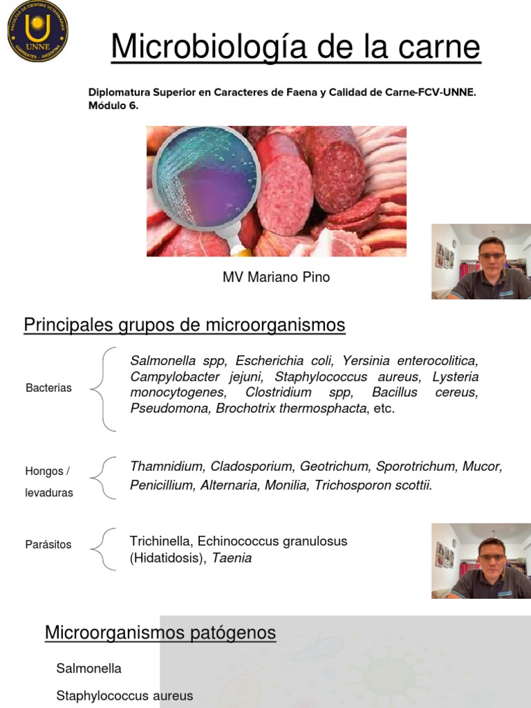 Microbiología de la carne | PDF | Carne | Las bacterias