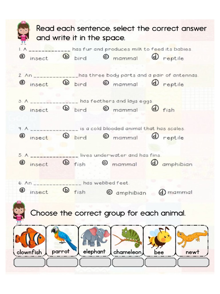 Y4 Science Assessment | PDF Y4 Science Assessment | PDF