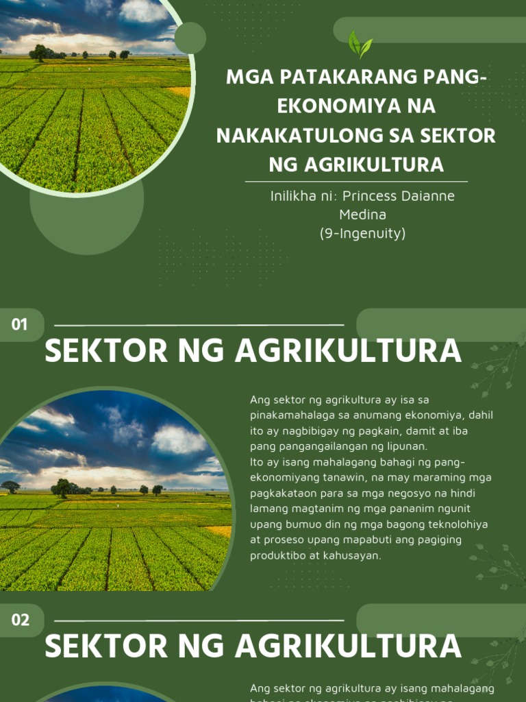 Mga Patakarang Pang-Ekonomiya Na Nakakatulong Sa Sektor NG Agrikultura | PDF
