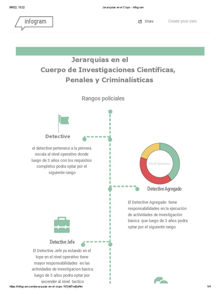 Jerarquias en El Cicpc - Infogram | PDF