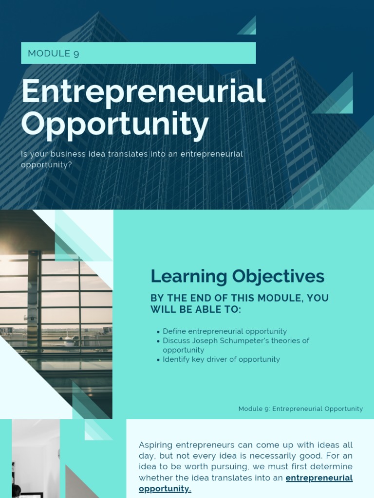 Module 9 Entrepreneurial Opportunity | PDF | Entrepreneurship | Franchising