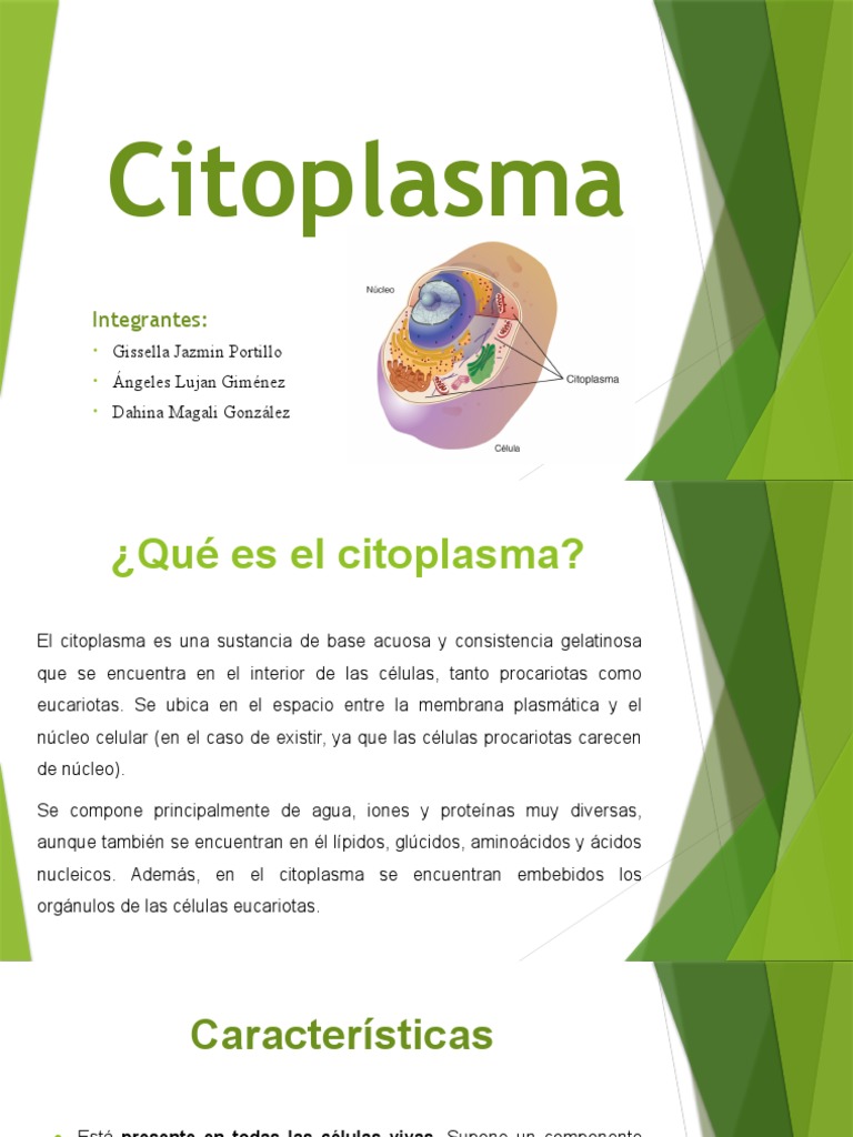 Cito Plasma 12 | PDF | Salud y bienestar