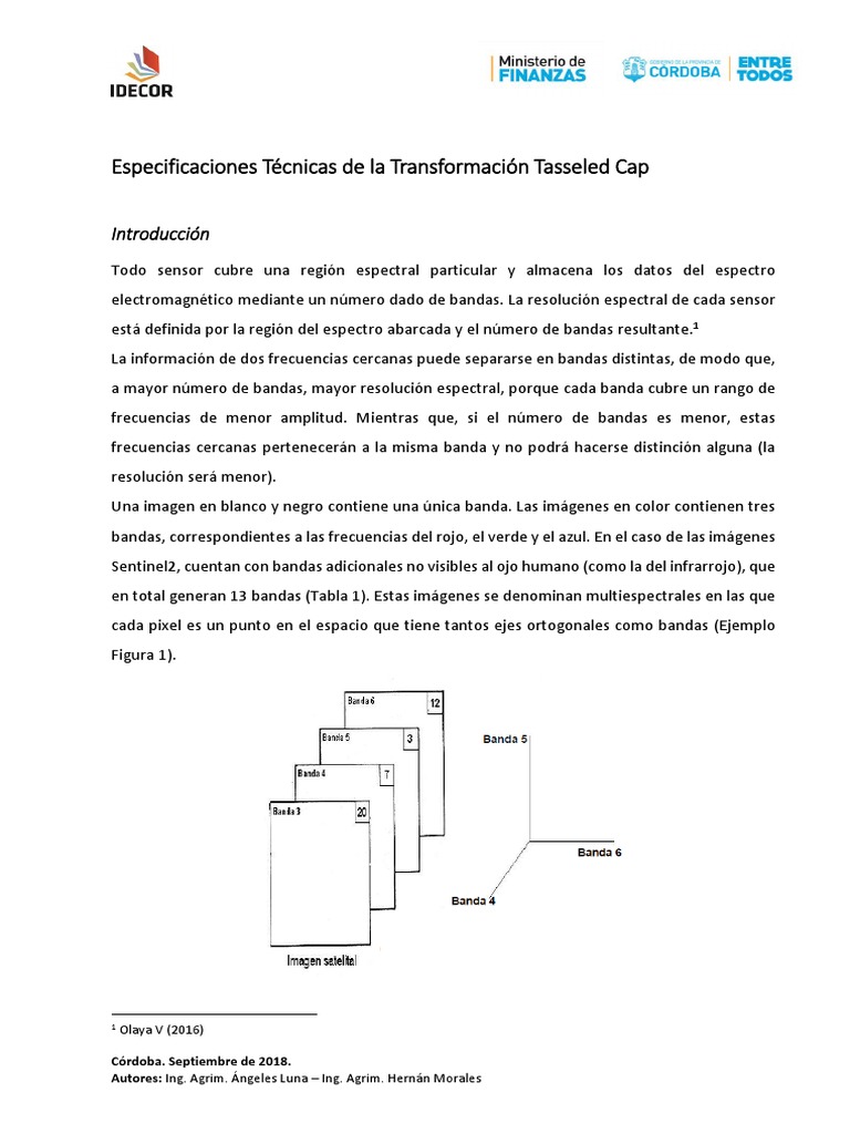 Tasseled Cap | PDF | Análisis de componentes principales | Espectro ...
