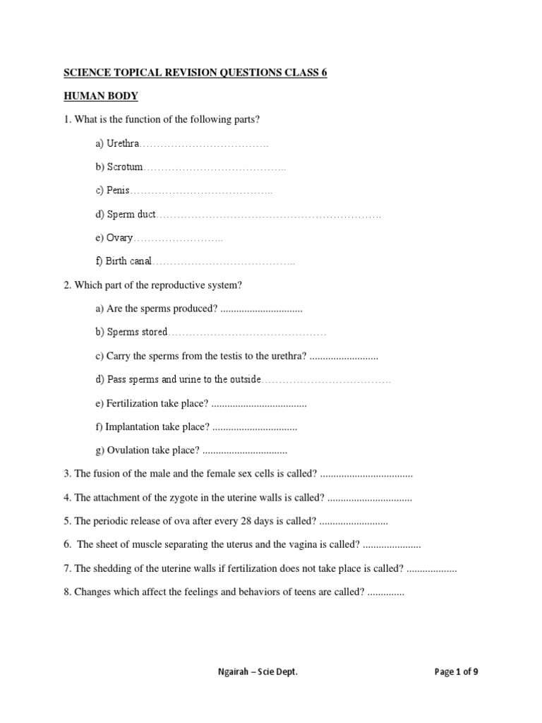 Grade 6 Science Topical Revision Questions | PDF | Flowers | Seed