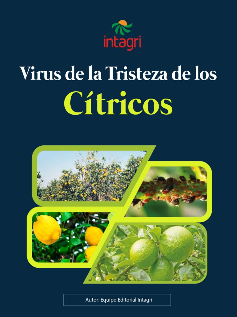 Virus De La Tristeza De Los Citricos Pdf Agrios Virus