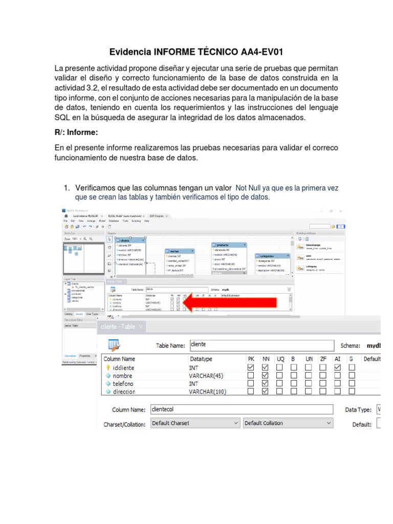 Informe Técnico Aa4-Ev01 | PDF