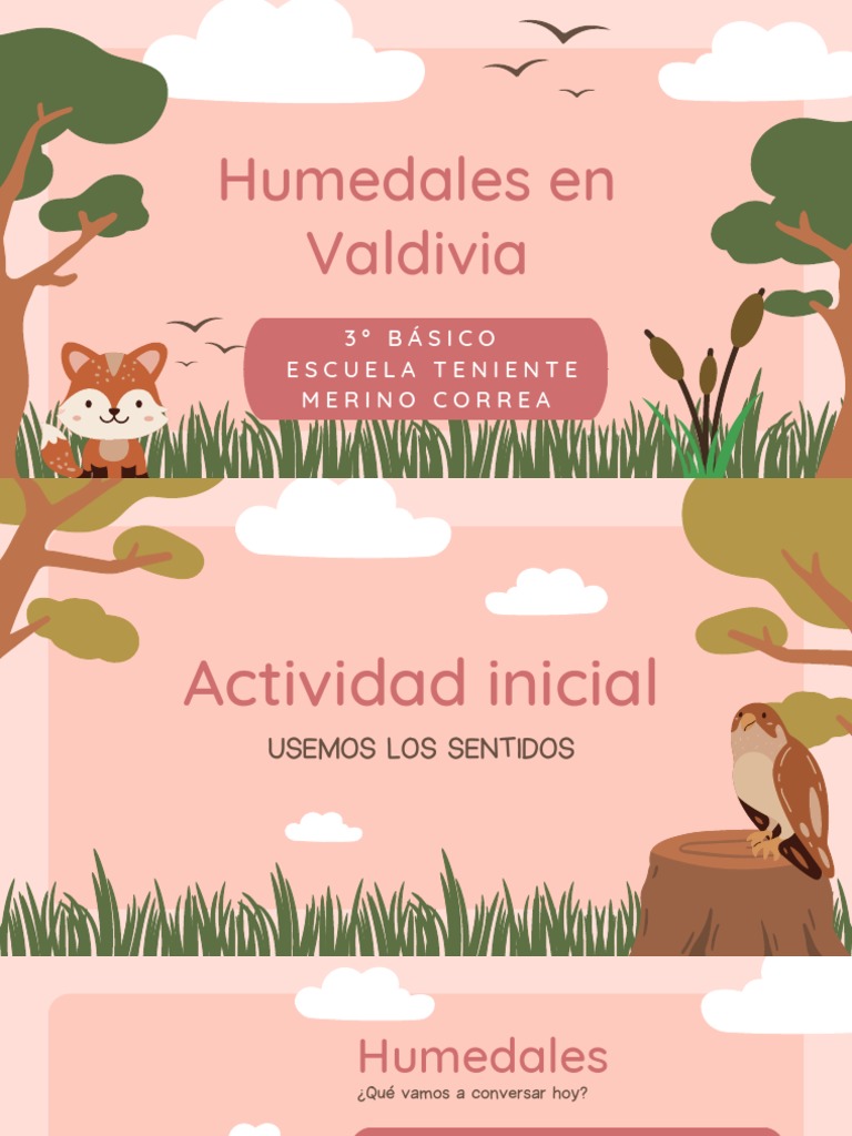 Cuentos de Humedales para Niños | PDF