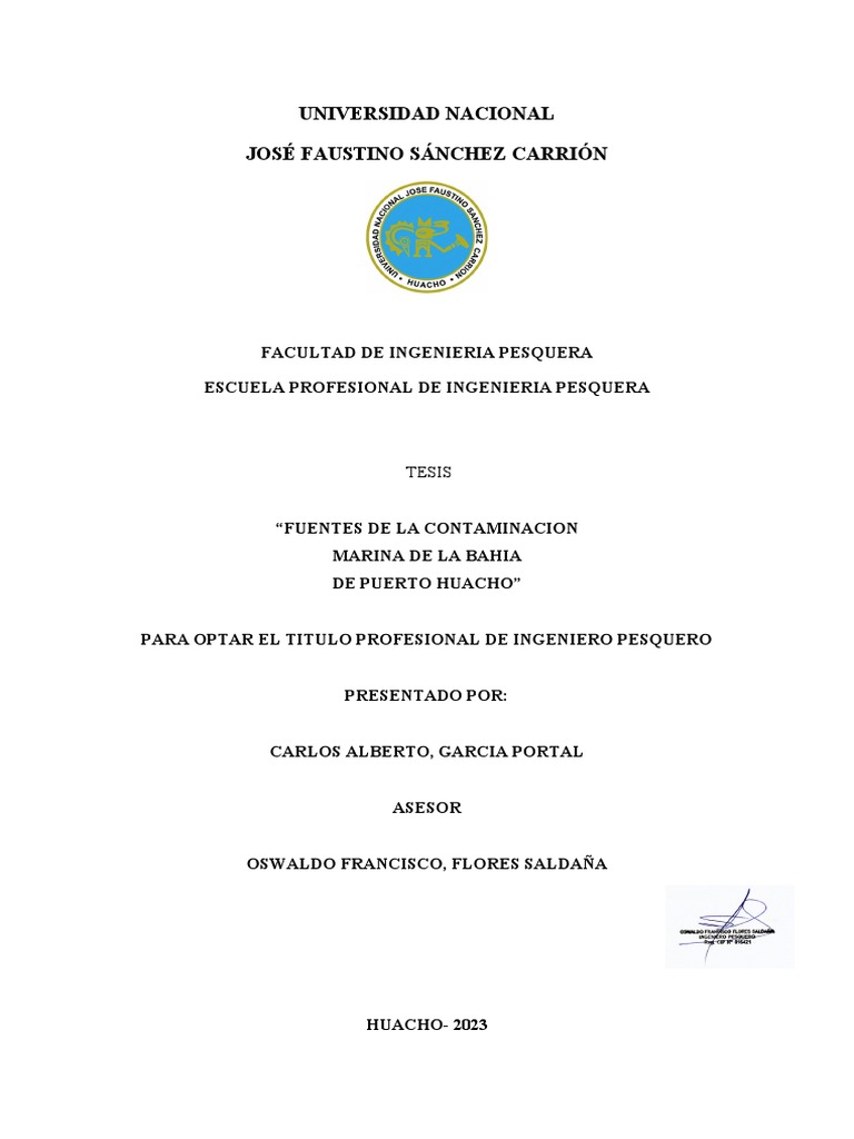 Tesis Carlos Alberto Garcia Portal. | PDF