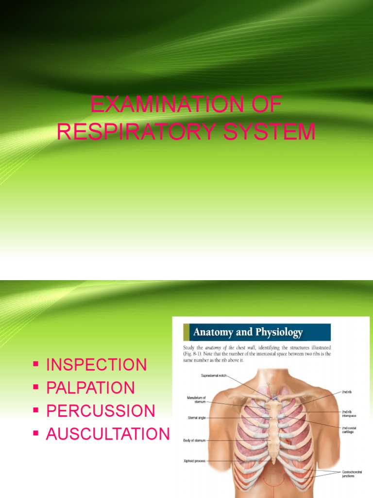 Lecture For PE Respiratory System | PDF