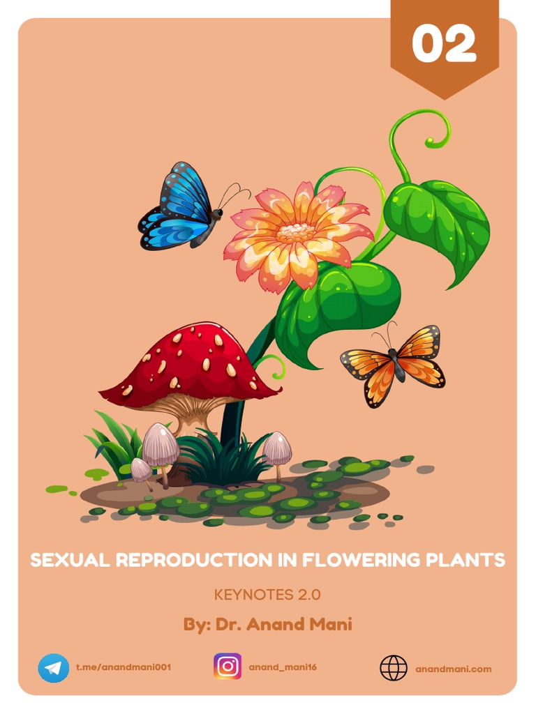 Key Notes Sexual Reproduction In Flowering Plants Pdf Seed Flowers