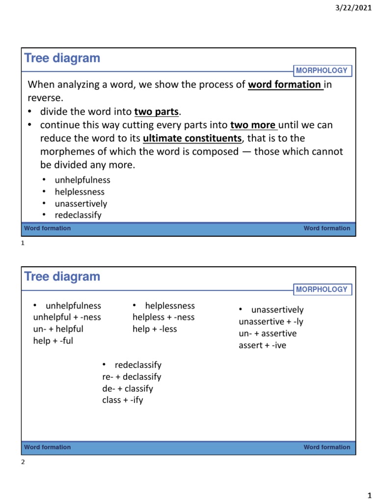 Morphology Tree Diagrams and Exercises | PDF | Morphology (Linguistics ...