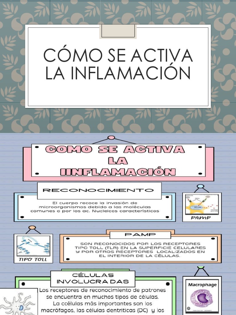 Inmunología Tema 2 | PDF | Receptor de peaje | Sistema inmune innato