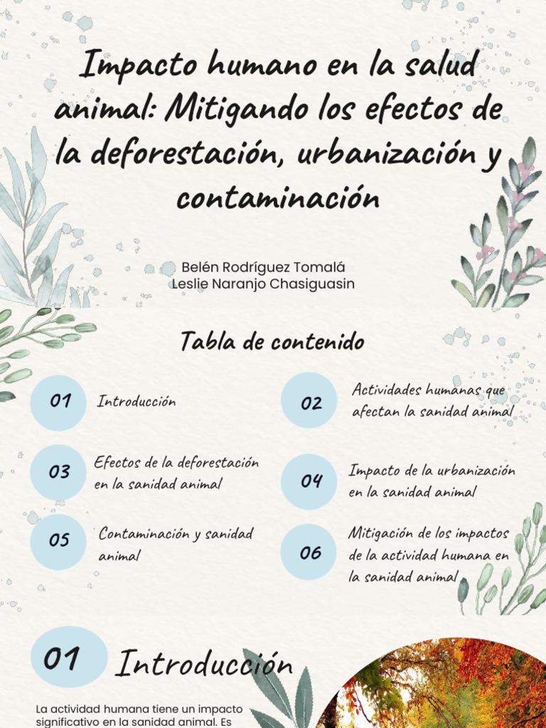 Impacto Humano en La Salud Animal Mitigando Los Efectos de La ...