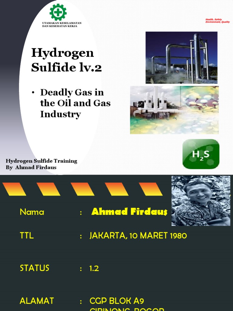 H2S Firdaus | PDF