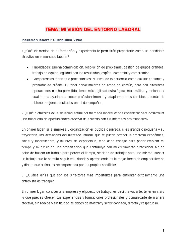 Mi Visión Del Entorno Laboral | PDF | Economía laboral | Mercado (economía)