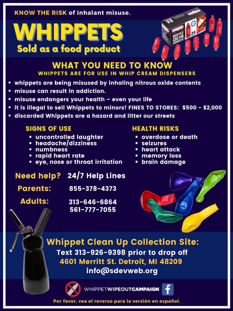 Whippet Wipeout Flyer Detroit Health Department | PDF