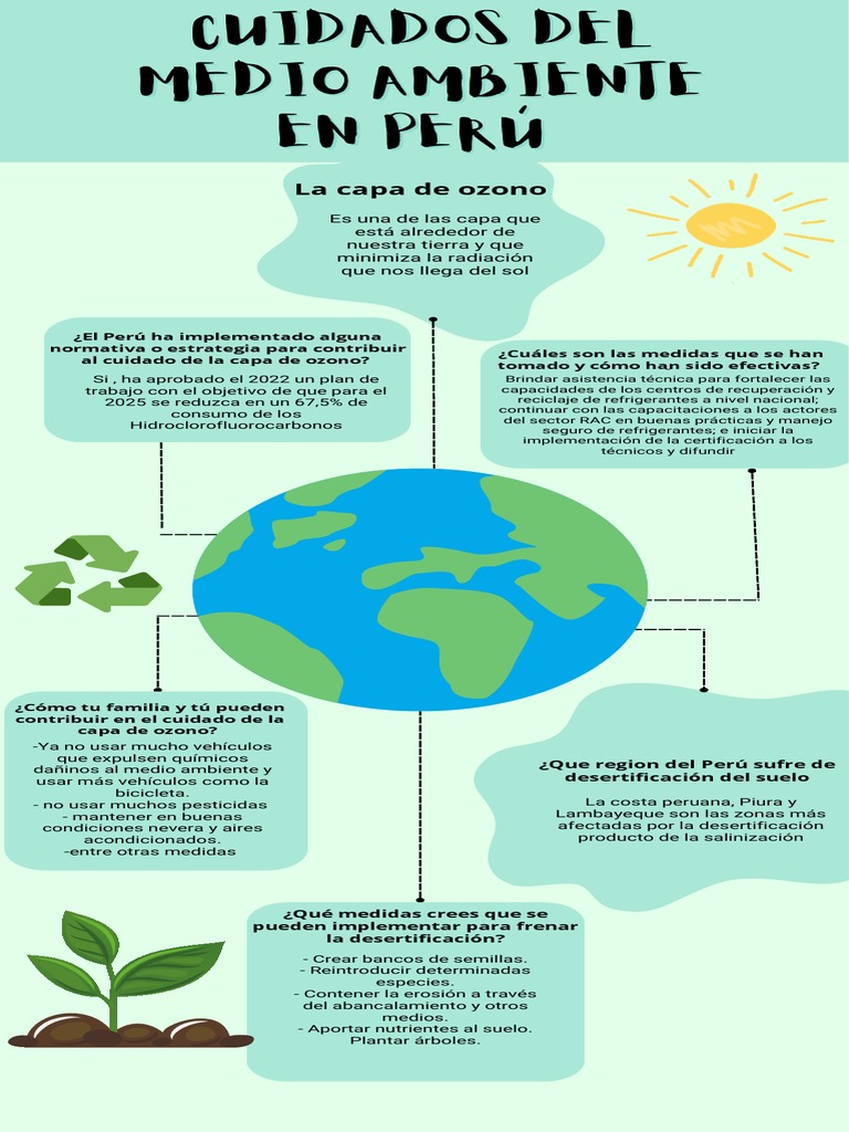 Infografia Del Cuidado Del Ambiente