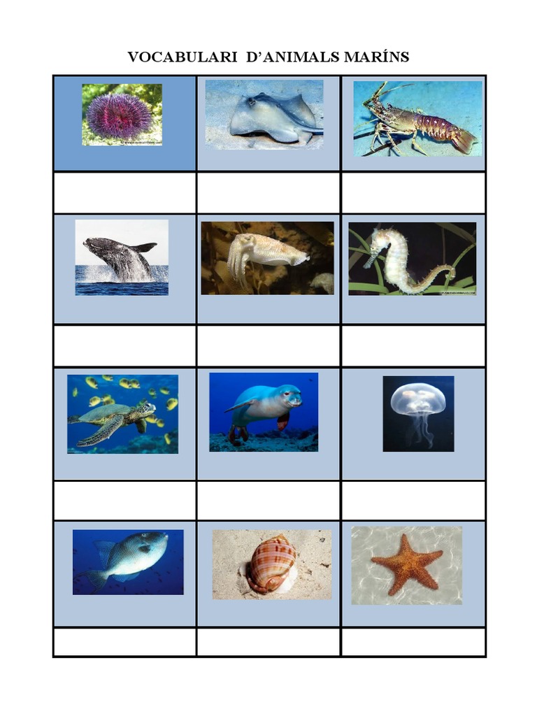 Lamina Fotos Animals Vertebrats I Invertebrats | PDF