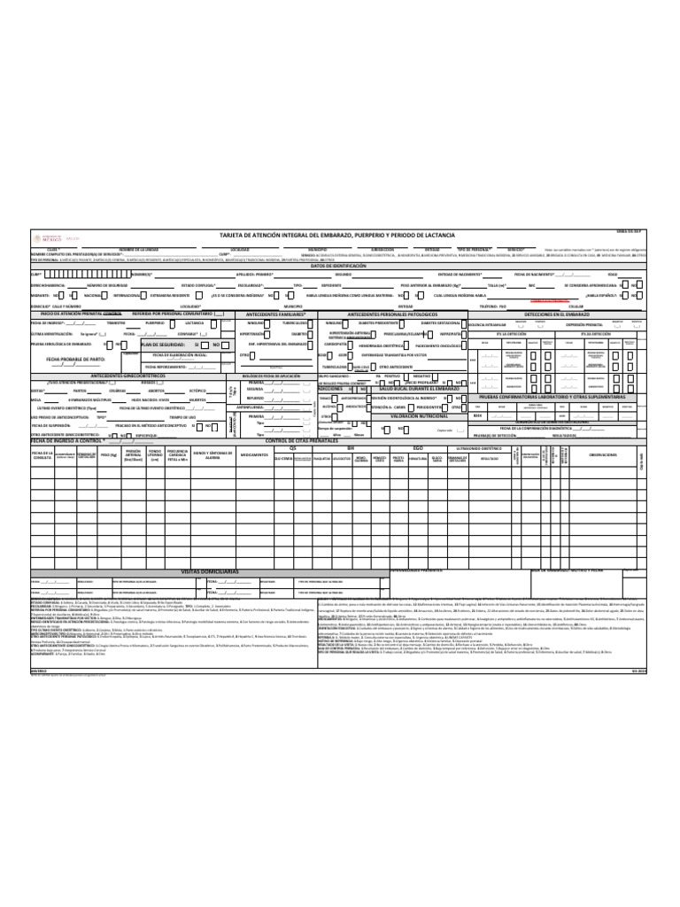 Tarjeta de Embarazo, Puerperio y Lactancia-SIS-38-P 2023 | PDF | El ...
