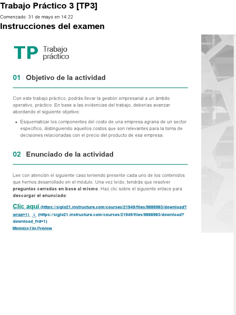 Examen - Trabajo Práctico 3 (TP3) Economia Empresas | PDF | Costo marginal | Business